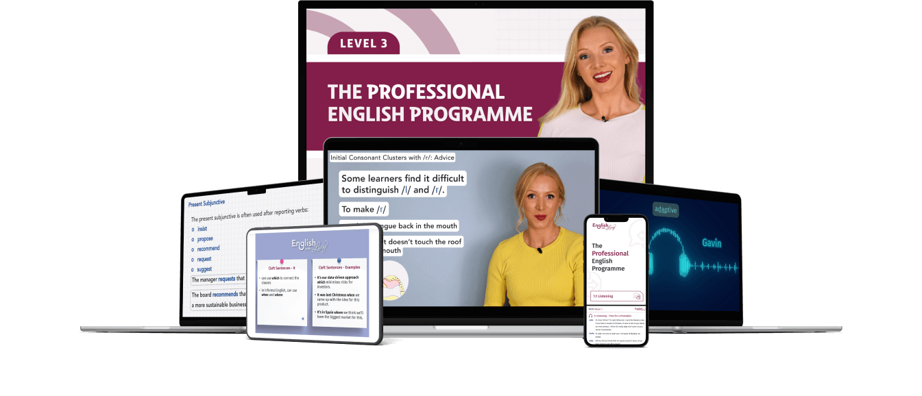 Professional English Programme Level 3 - English With Lucy